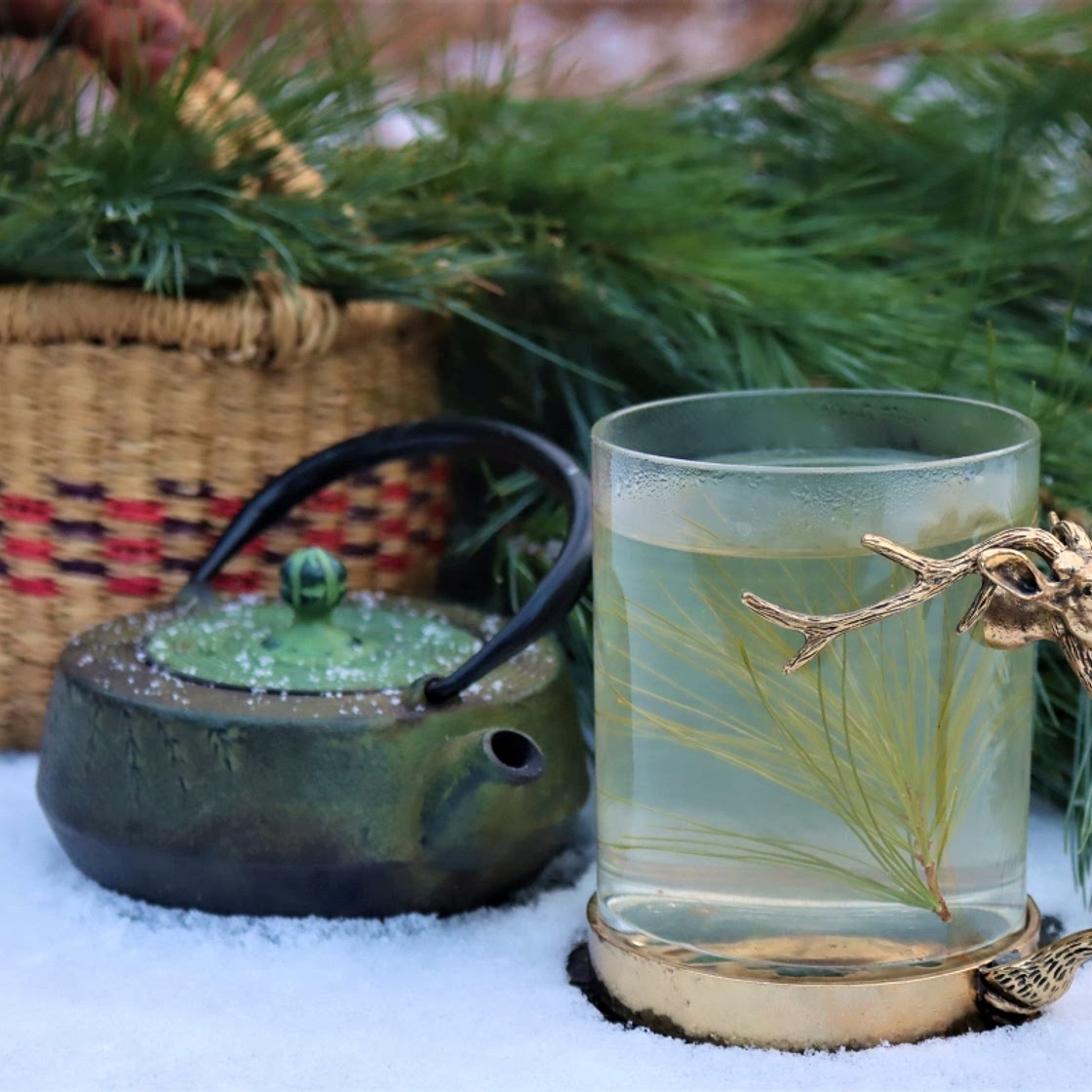 pine leaf tea