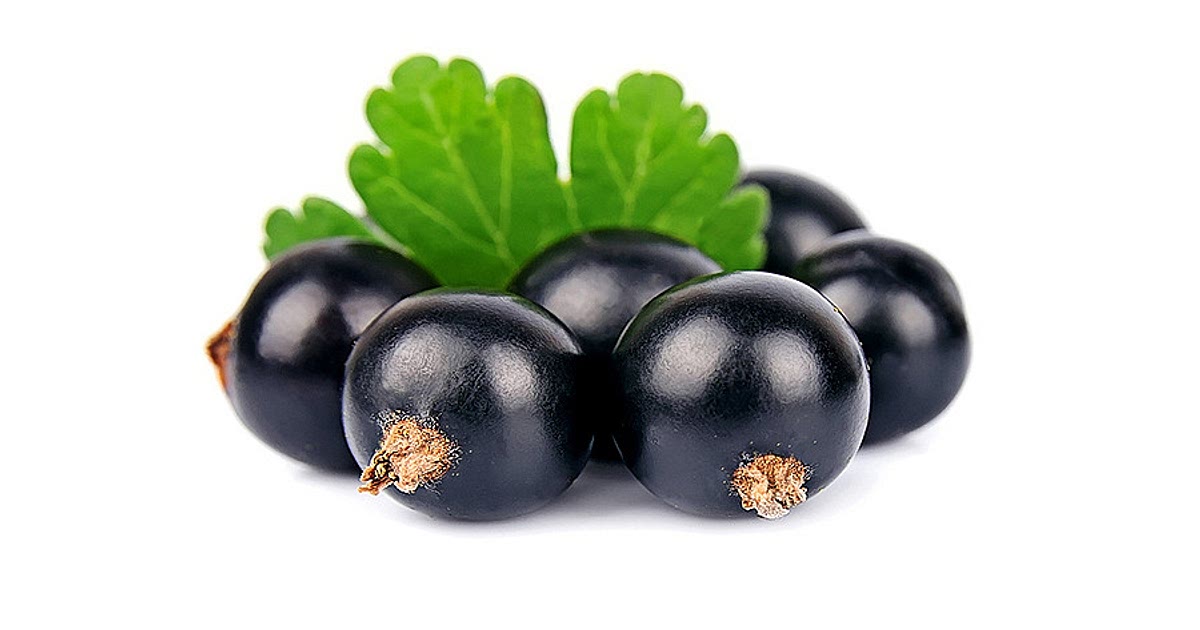 5 Easy Fresh serviceberries Recipes