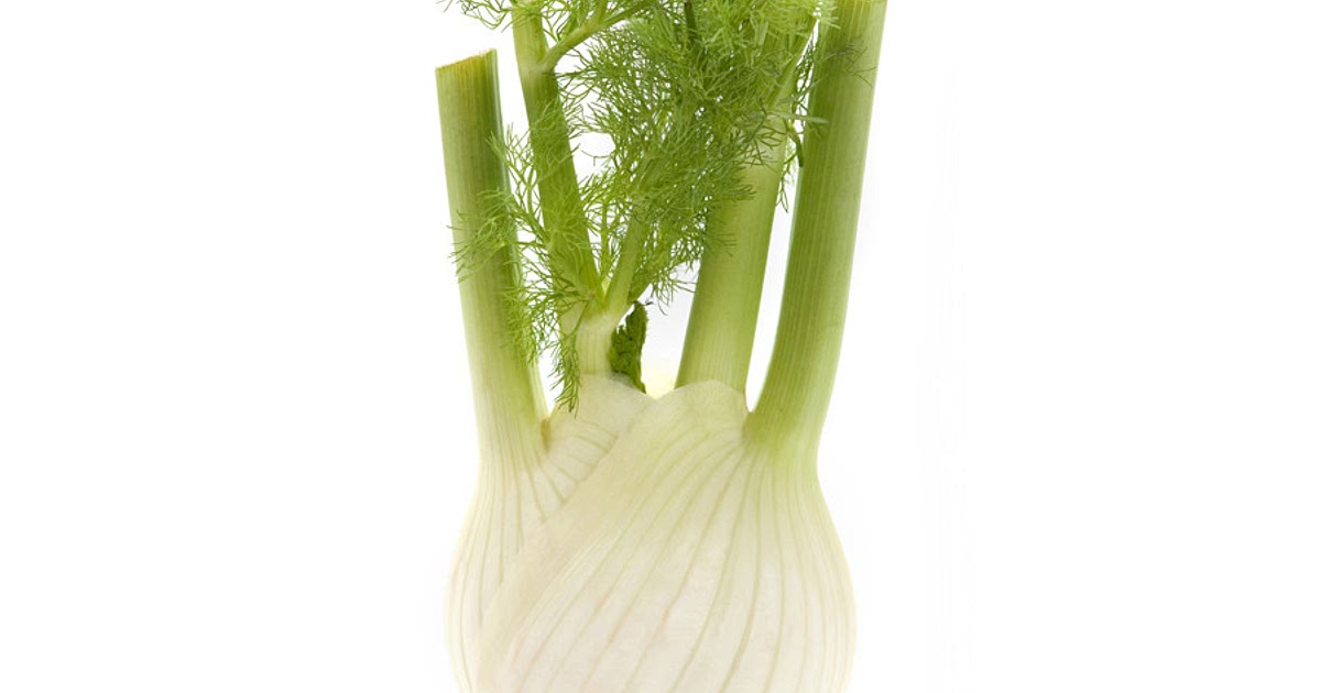 388 Easy Fennel bulb Recipes