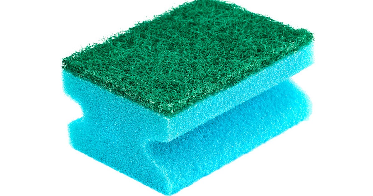 6 Easy Sponges Recipes