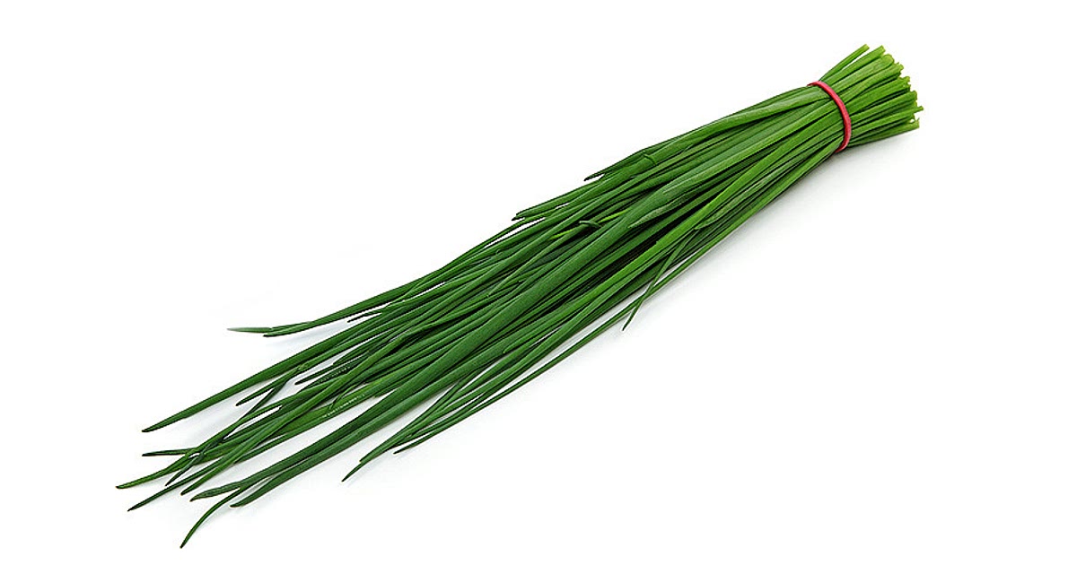 40 Easy Welsh onion Recipes
