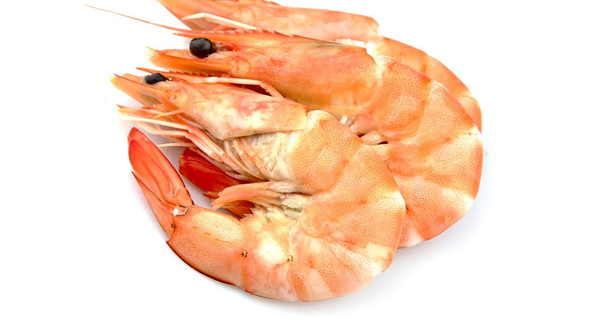 203 Easy King prawn Recipes