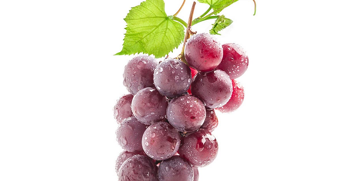 509 Easy Grapes Recipes