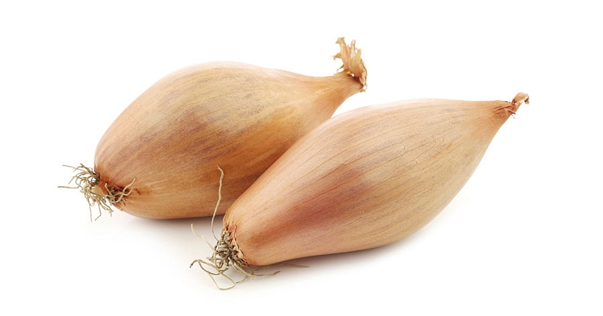 133 Easy Echalion shallot Recipes