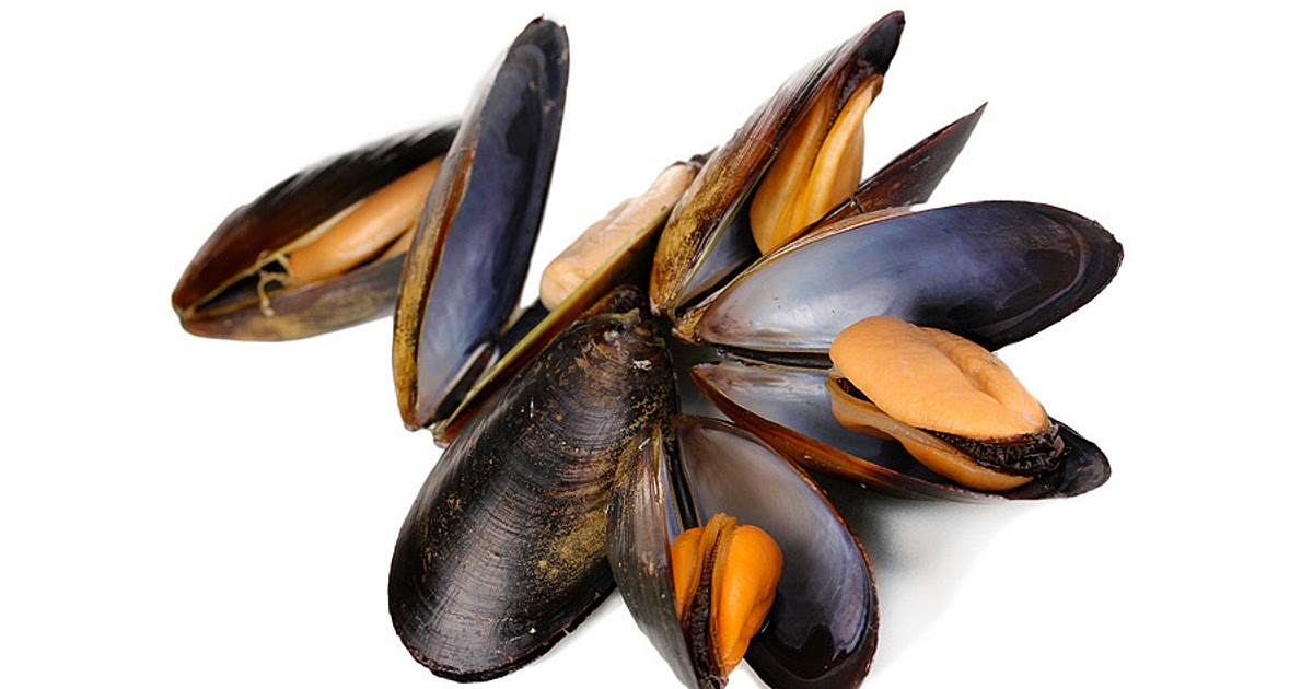 1 Easy Bay mussel Recipes