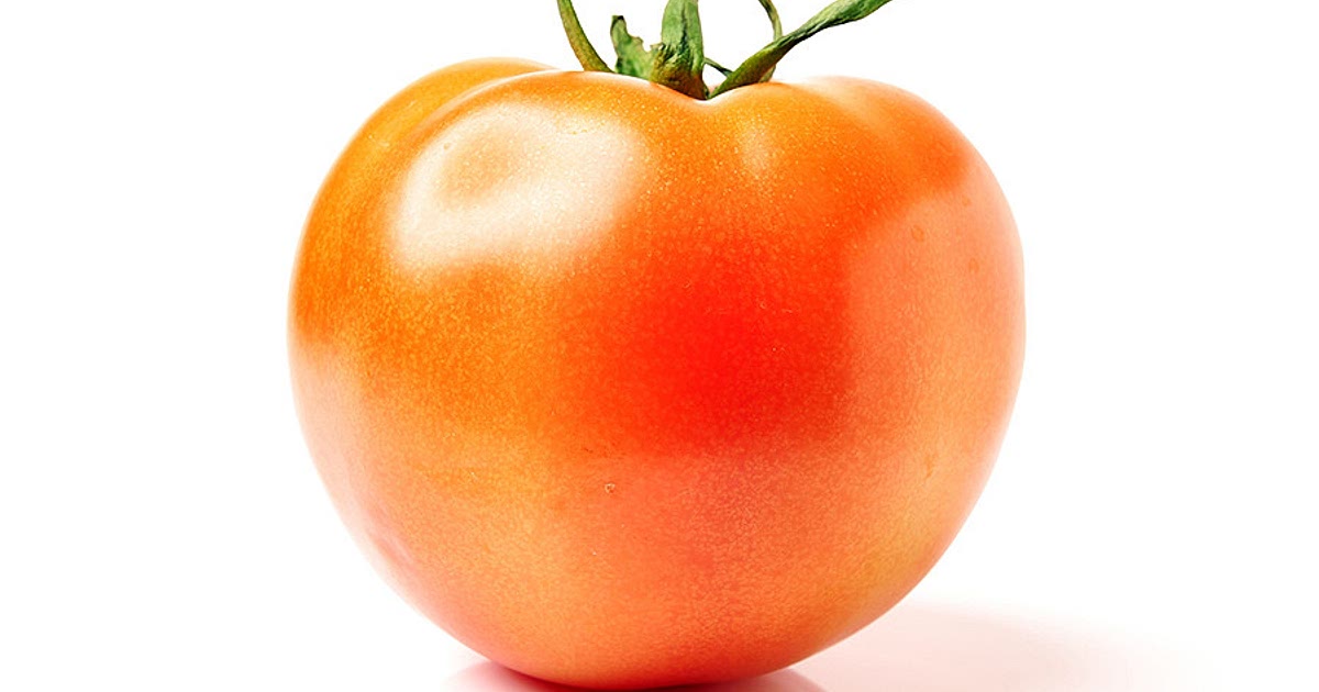 10000+ Easy Tomato Recipes