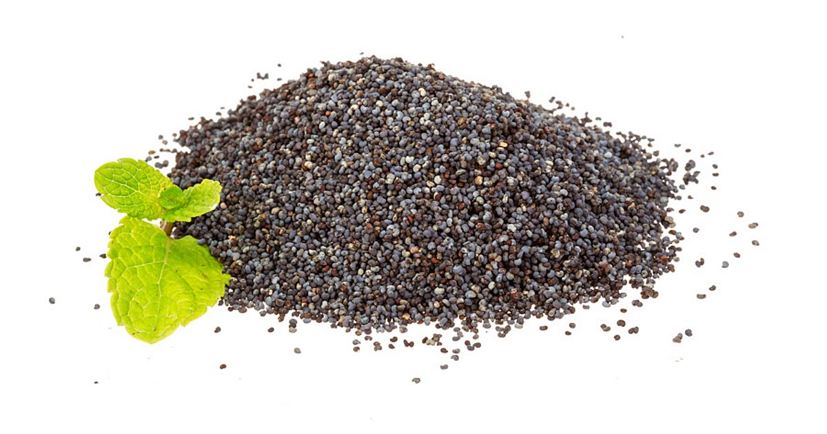 640 Easy Poppy seeds Recipes