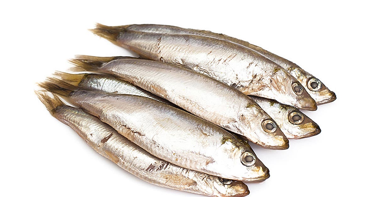 137 Easy Anchovy Recipes
