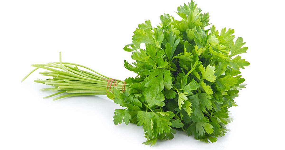 10000+ Easy Parsley Recipes