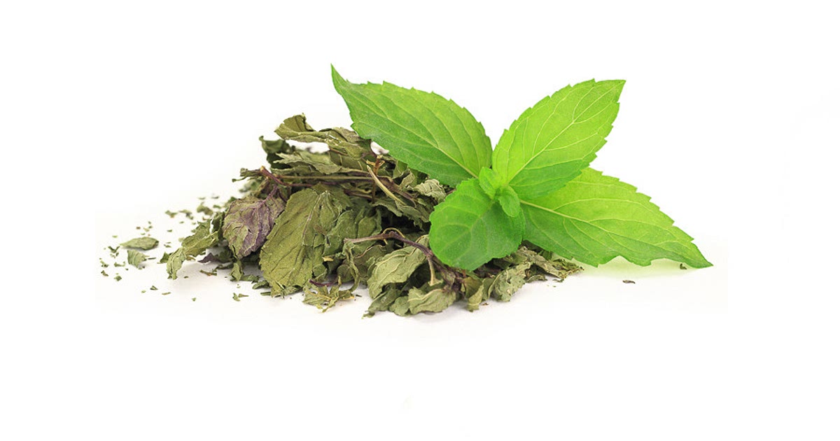 276 Easy Dried mint Recipes