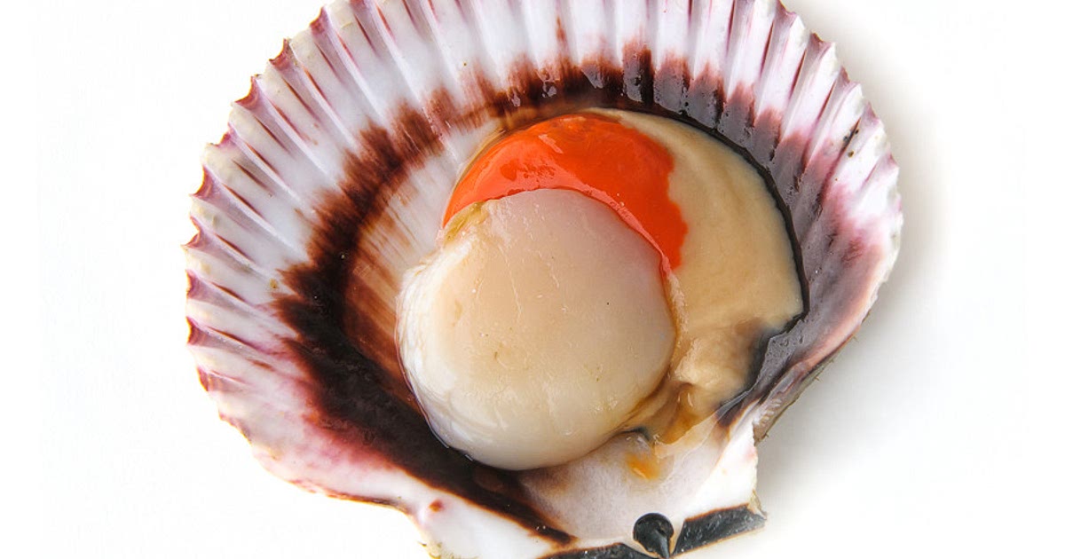 273 Easy Scallops Recipes