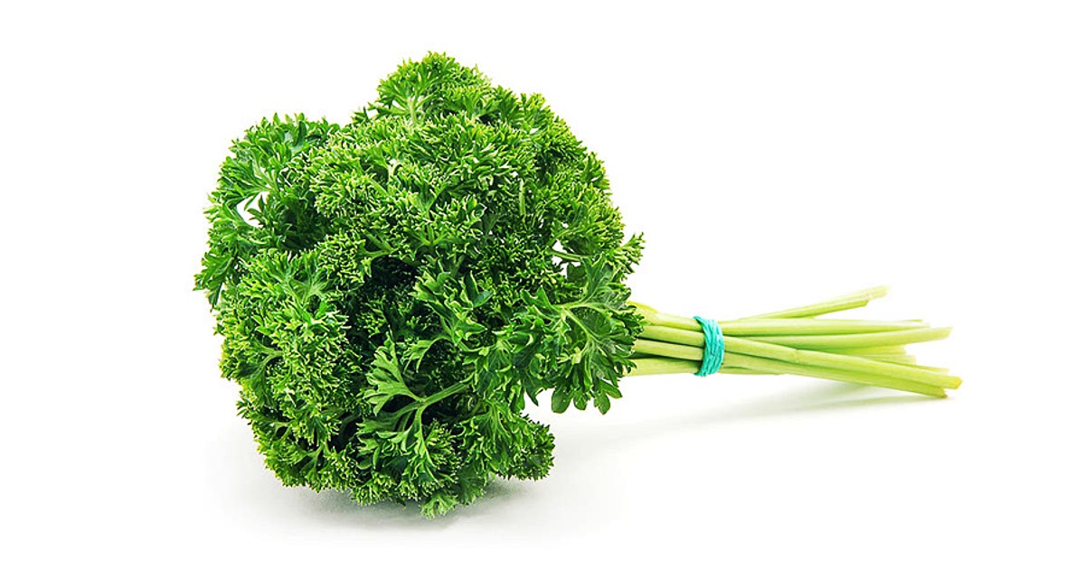64 Easy Curly parsley Recipes