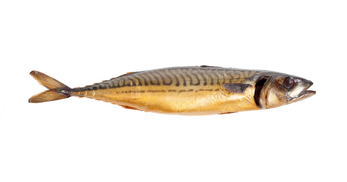 2 Easy Kipper Recipes
