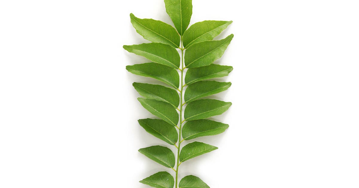 841 Easy Curry leaf Recipes