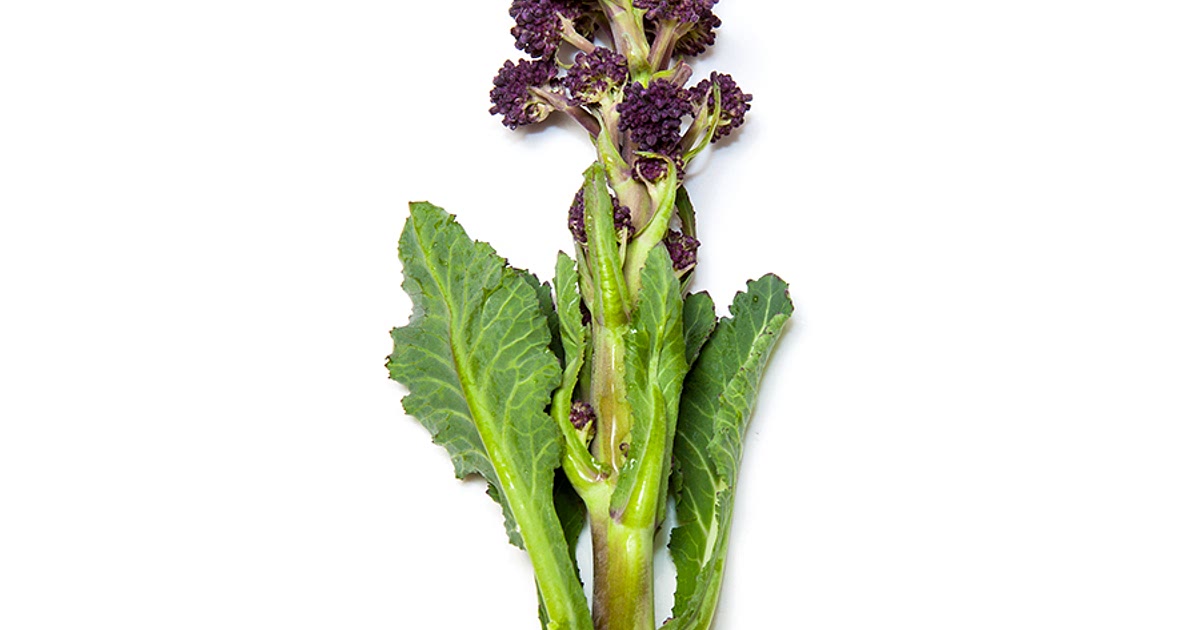 19 Easy Purple sprouting broccoli Recipes