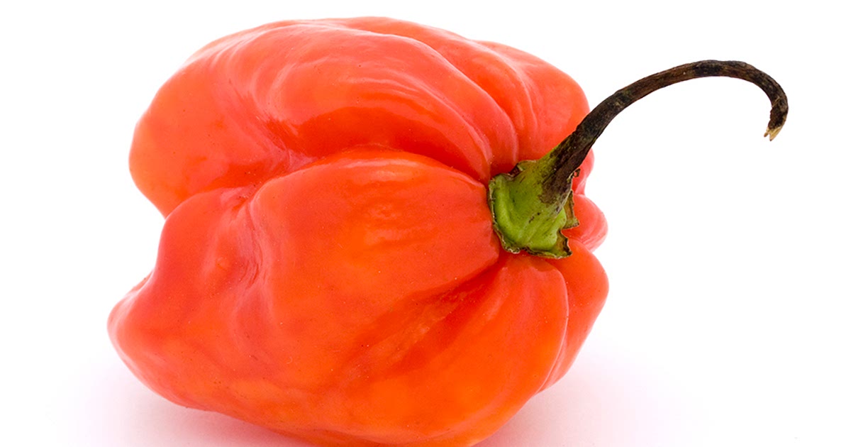 4 Easy Red habaneros Recipes
