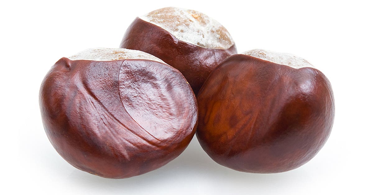 118 Easy Chestnut Recipes