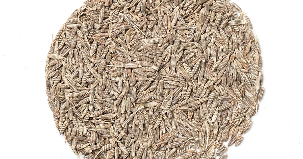 42 Easy Toasted cumin seeds Recipes
