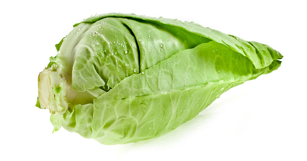41 Easy Pointed cabbage Recipes