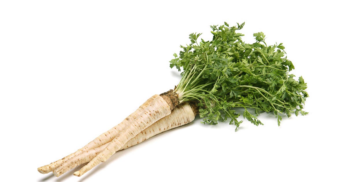 23 Easy Parsley root Recipes