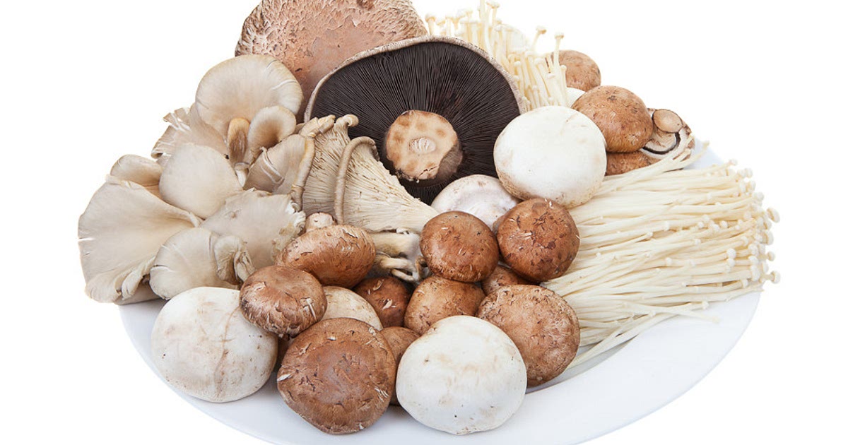 205 Easy Mixed mushrooms Recipes