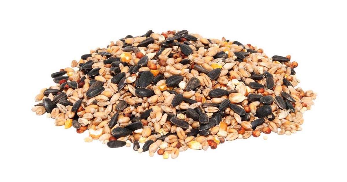 4 Easy Four seed mix Recipes