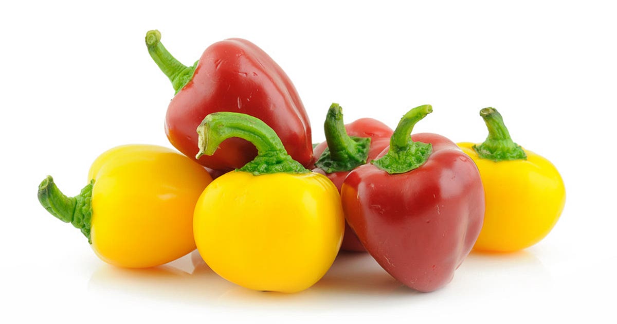 258 Easy Mini sweet pepper Recipes