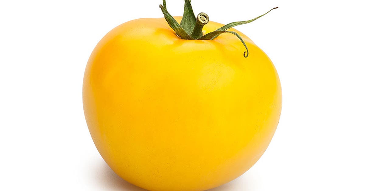 53 Easy Yellow tomato Recipes