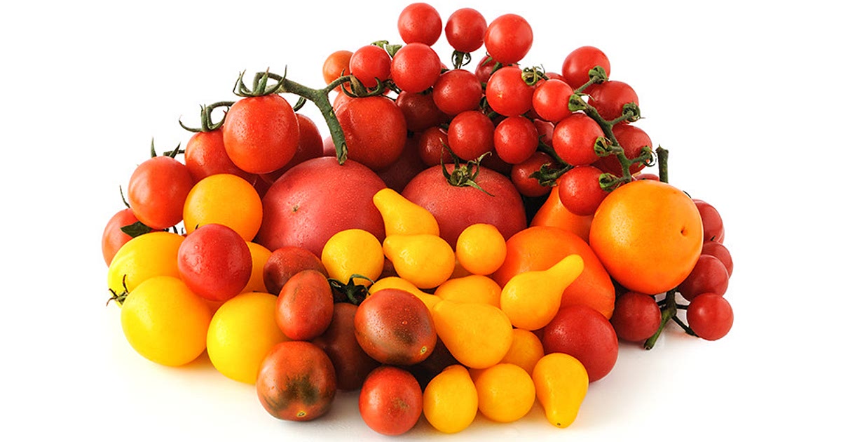 105 Easy Mixed tomato Recipes