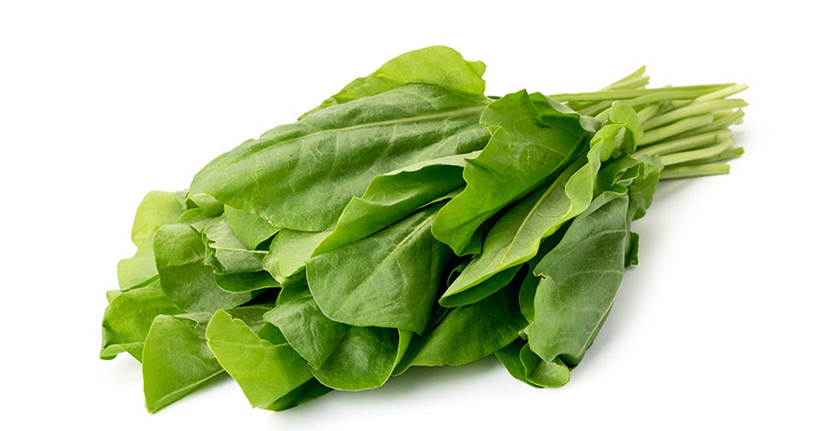 16 Easy Sorrel Recipes