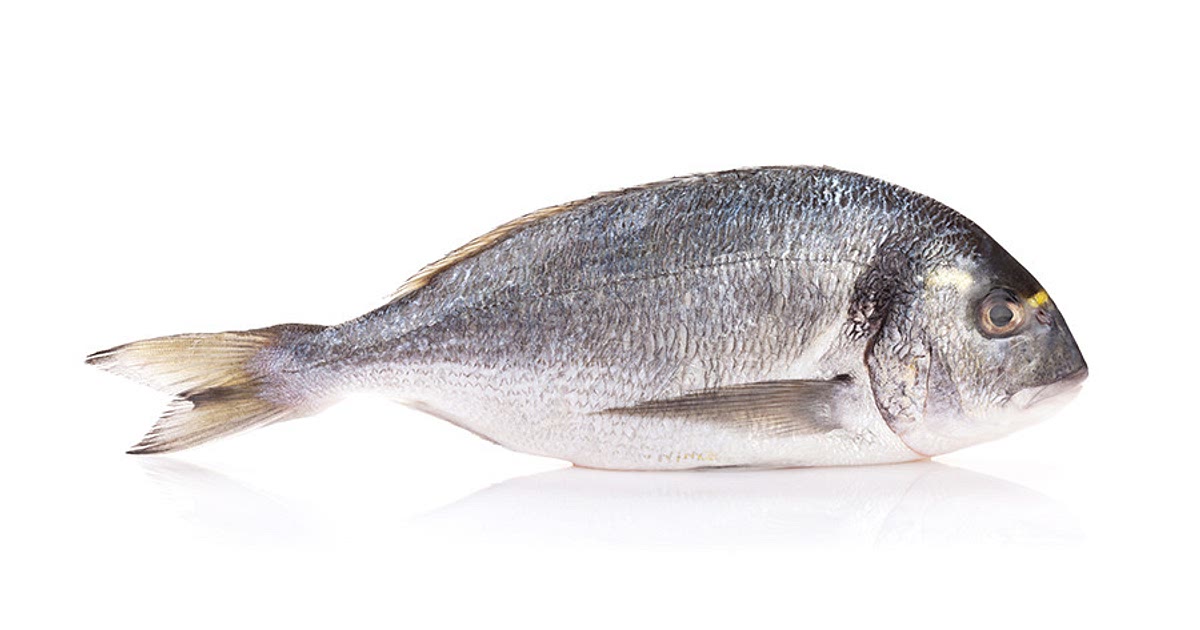 6 Easy Sea bream Recipes