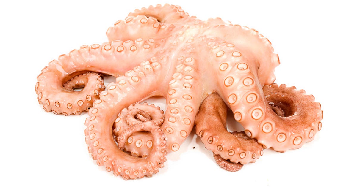 52 Easy Octopus Recipes