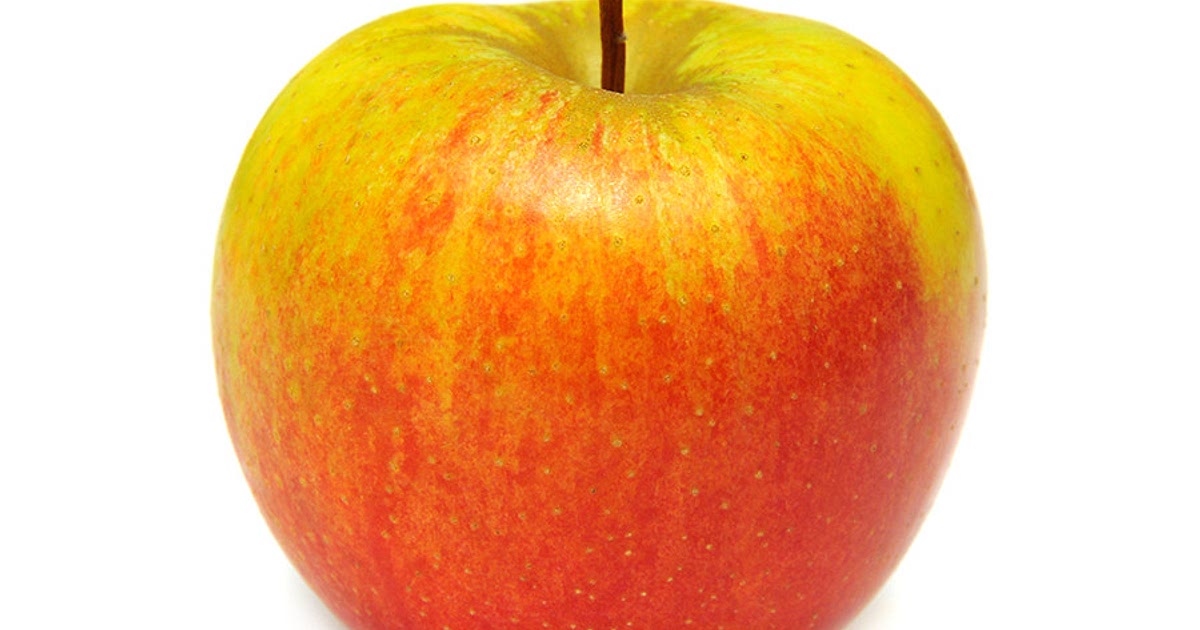 Easy Elstar apple Recipes