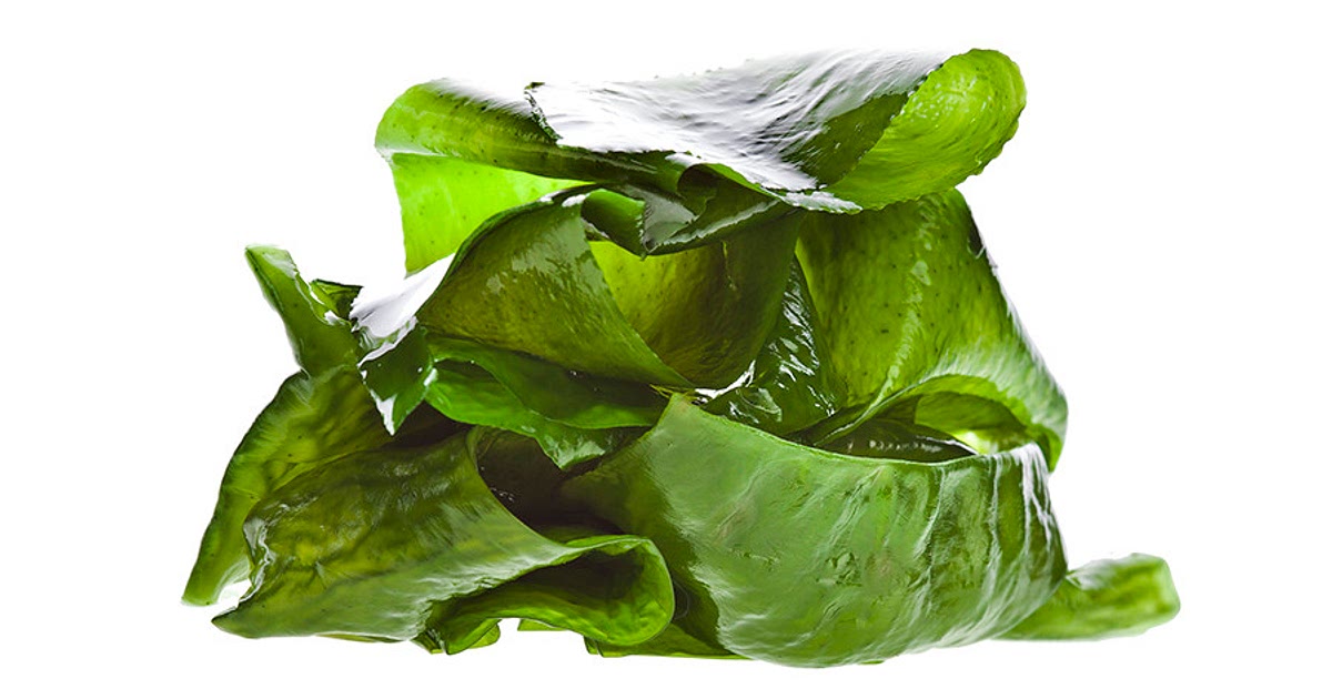 19 Easy Kelp Recipes