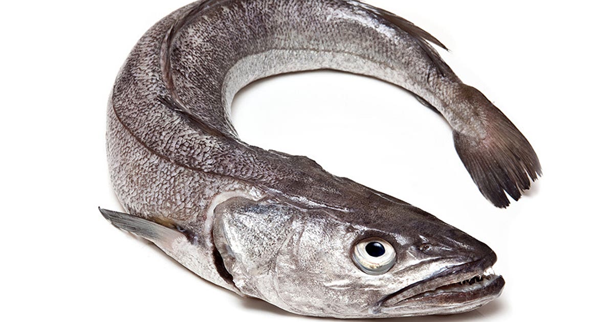 29 Easy Hake Recipes