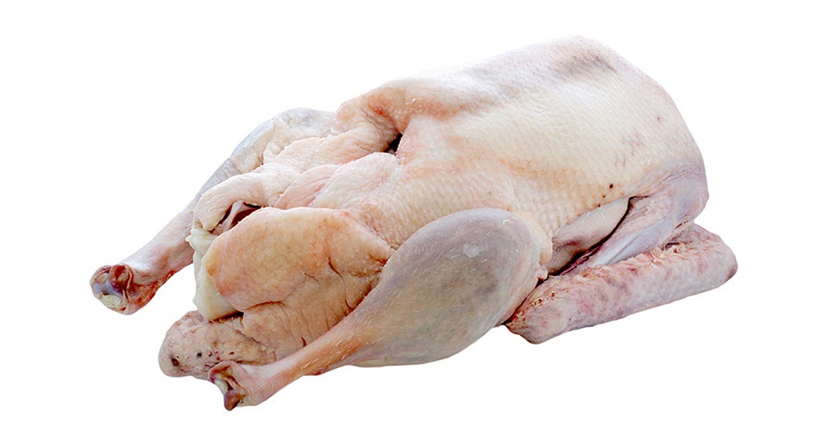 Easy Frozen goose Recipes