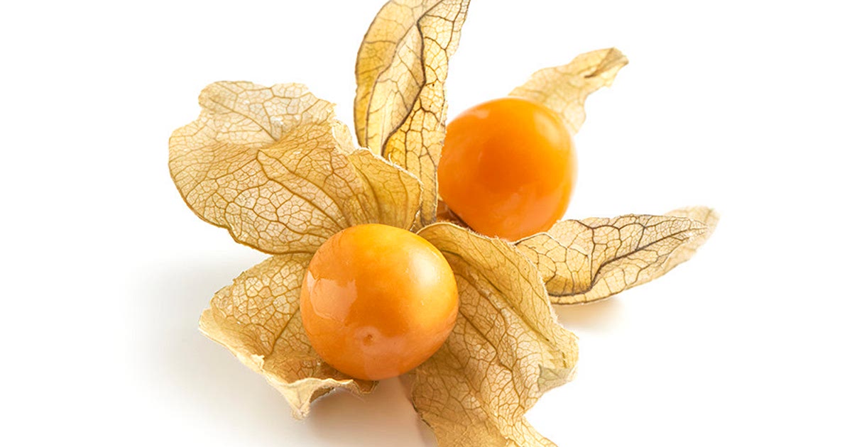 14 Easy Physalis Recipes