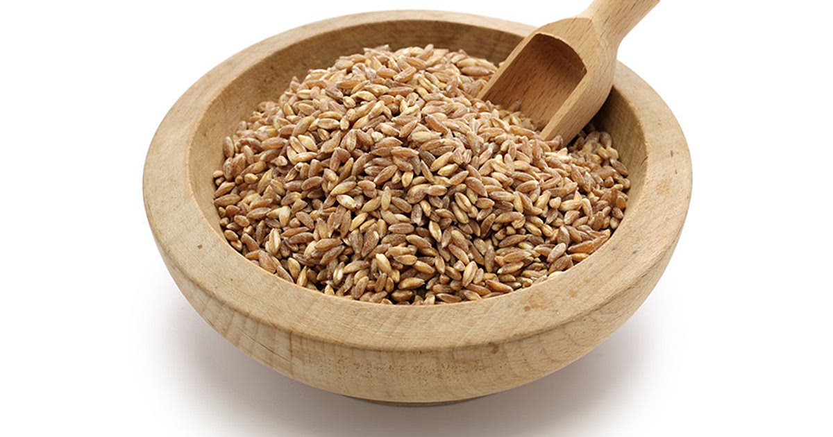 24 Easy Spelt Recipes