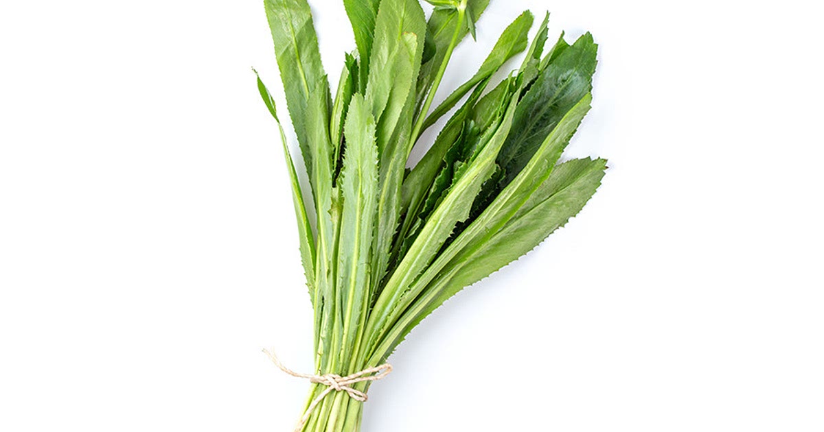 48 Easy Culantro Recipes