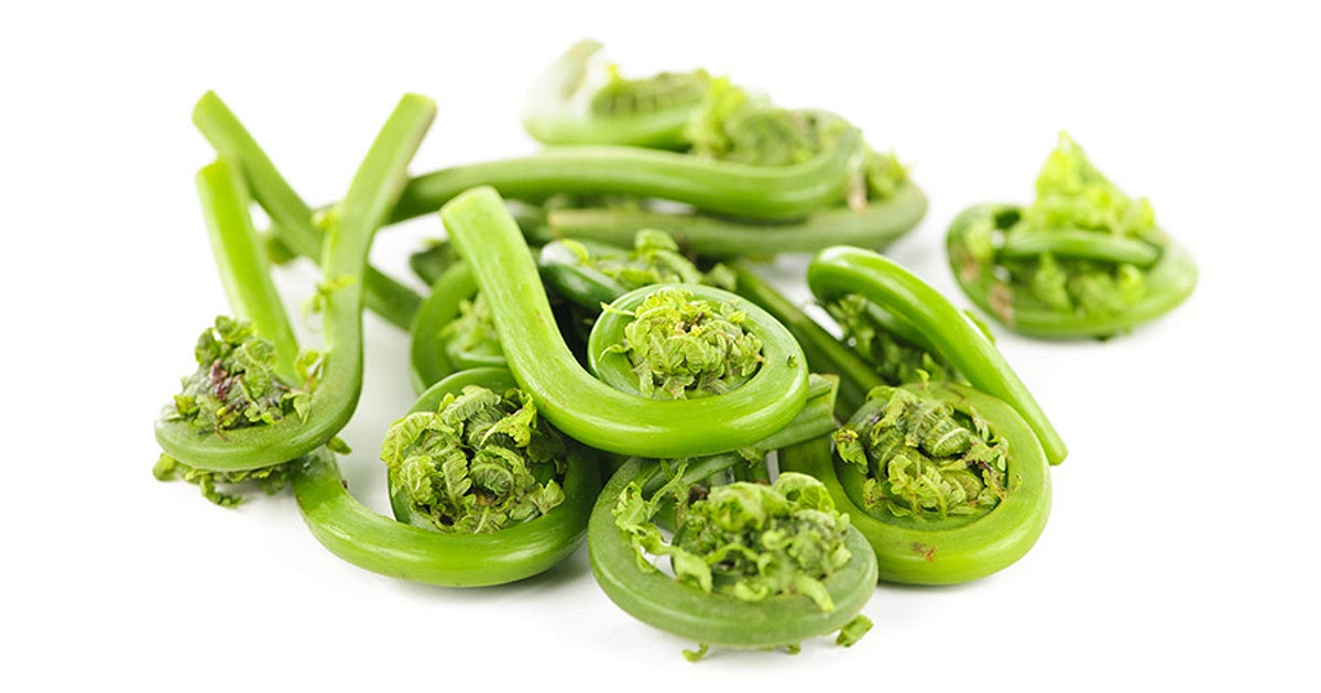 3 Easy Fiddlehead ferns Recipes
