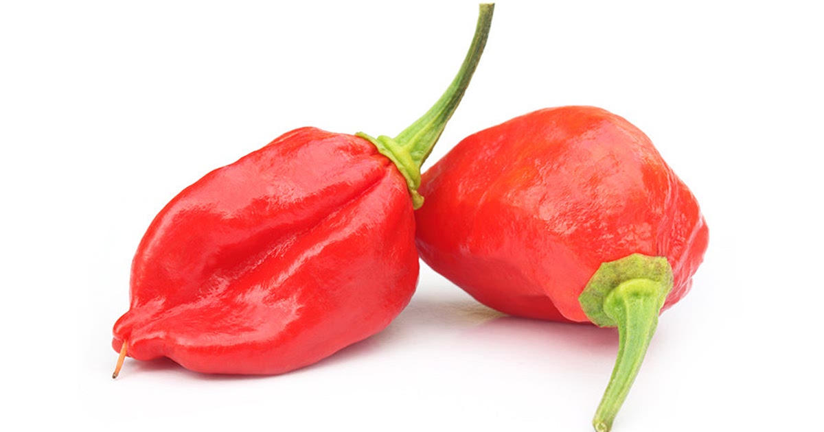 3 Easy Ghost pepper Recipes