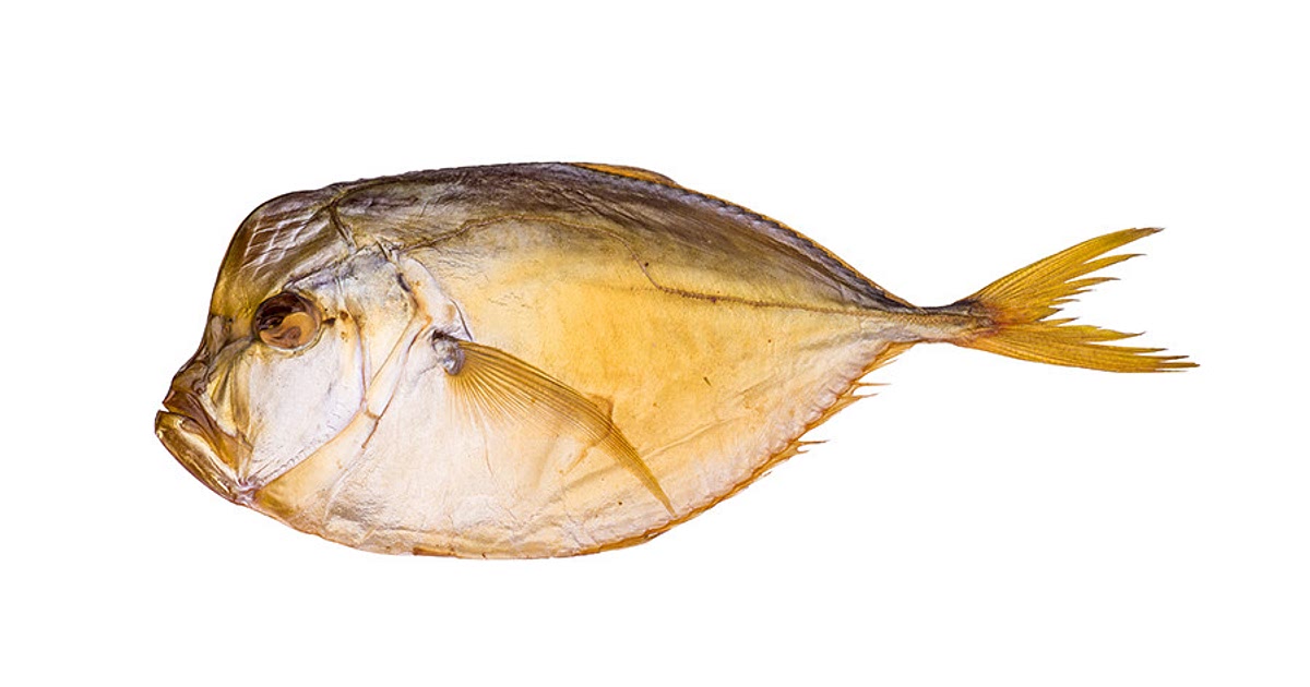 2 Easy Hawaiian opah Recipes