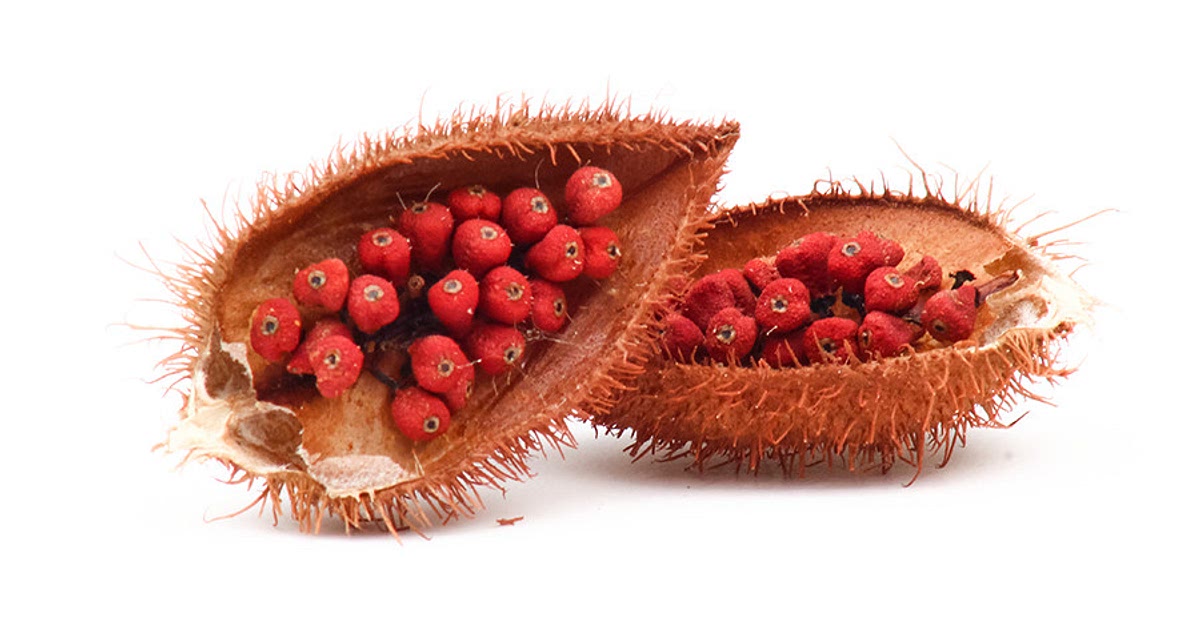 8 Easy Achiote Recipes