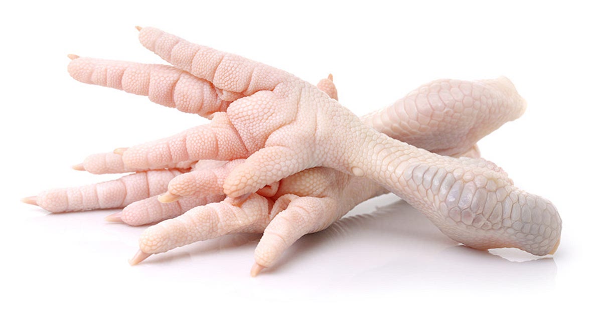 24 Easy Chicken feet Recipes