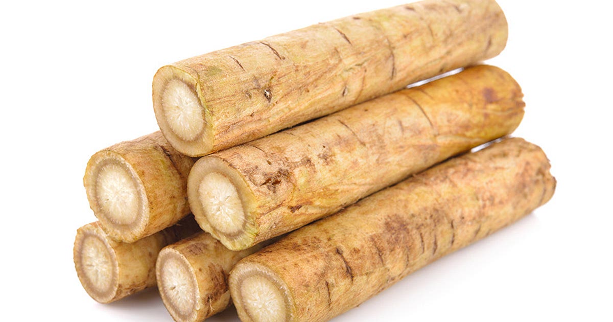 24 Easy Gobo Recipes