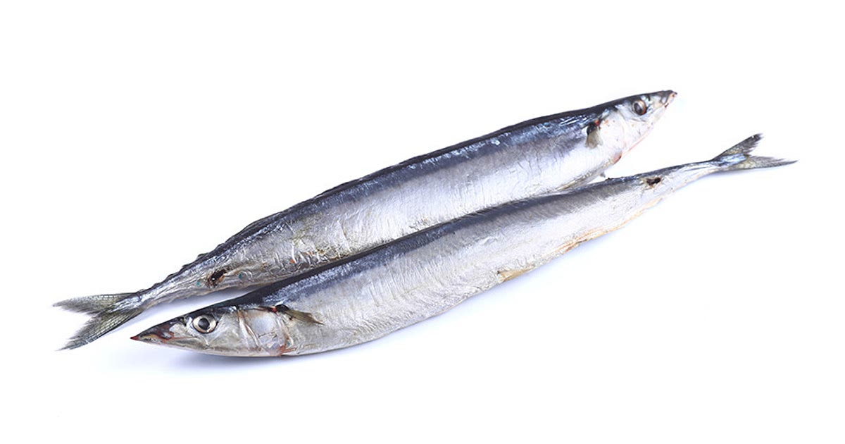 1 Easy Pacific saury Recipes