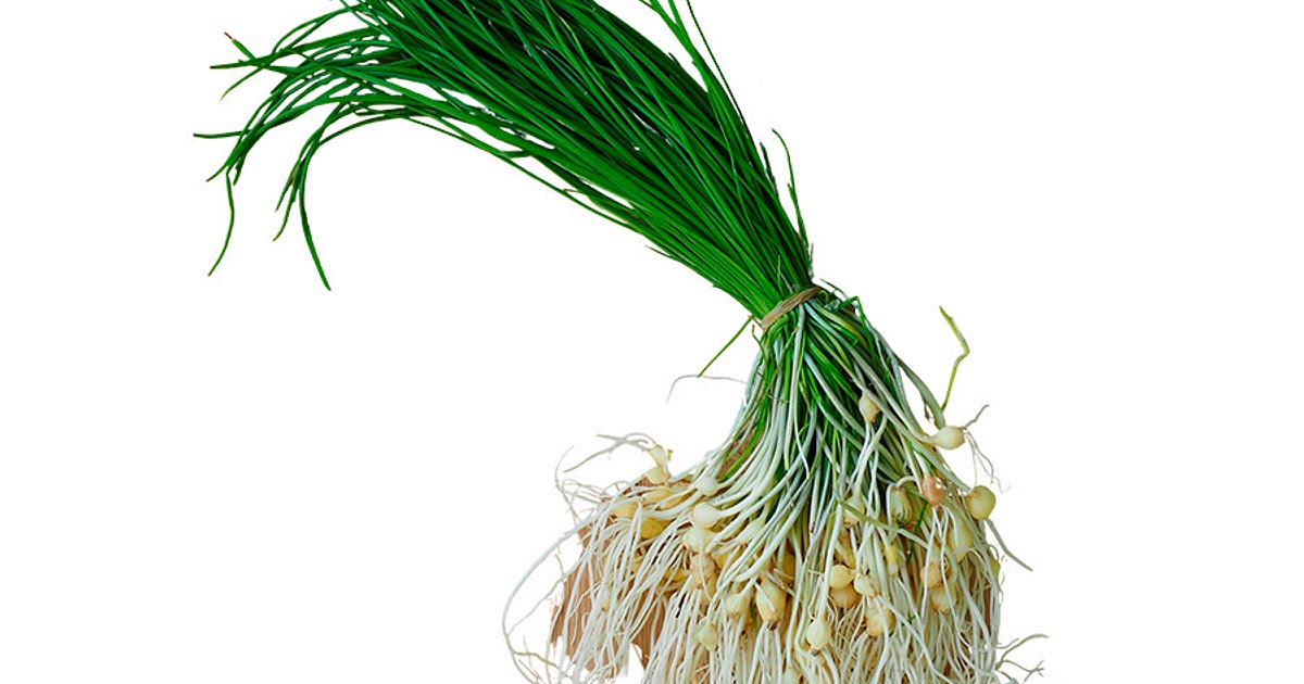 2 Easy Korean chives Recipes