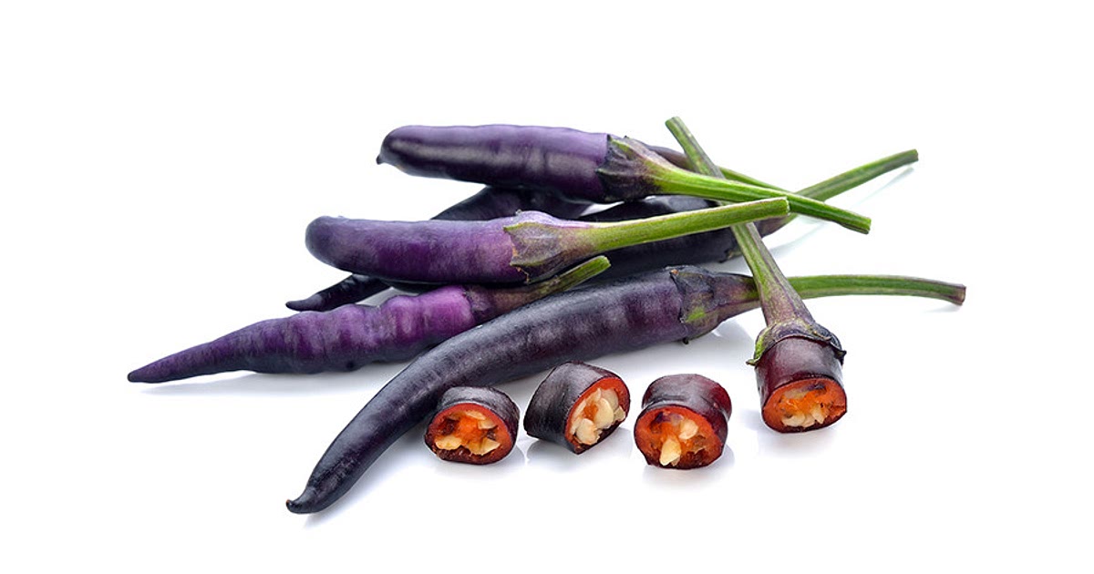 Easy Purple chili pepper Recipes