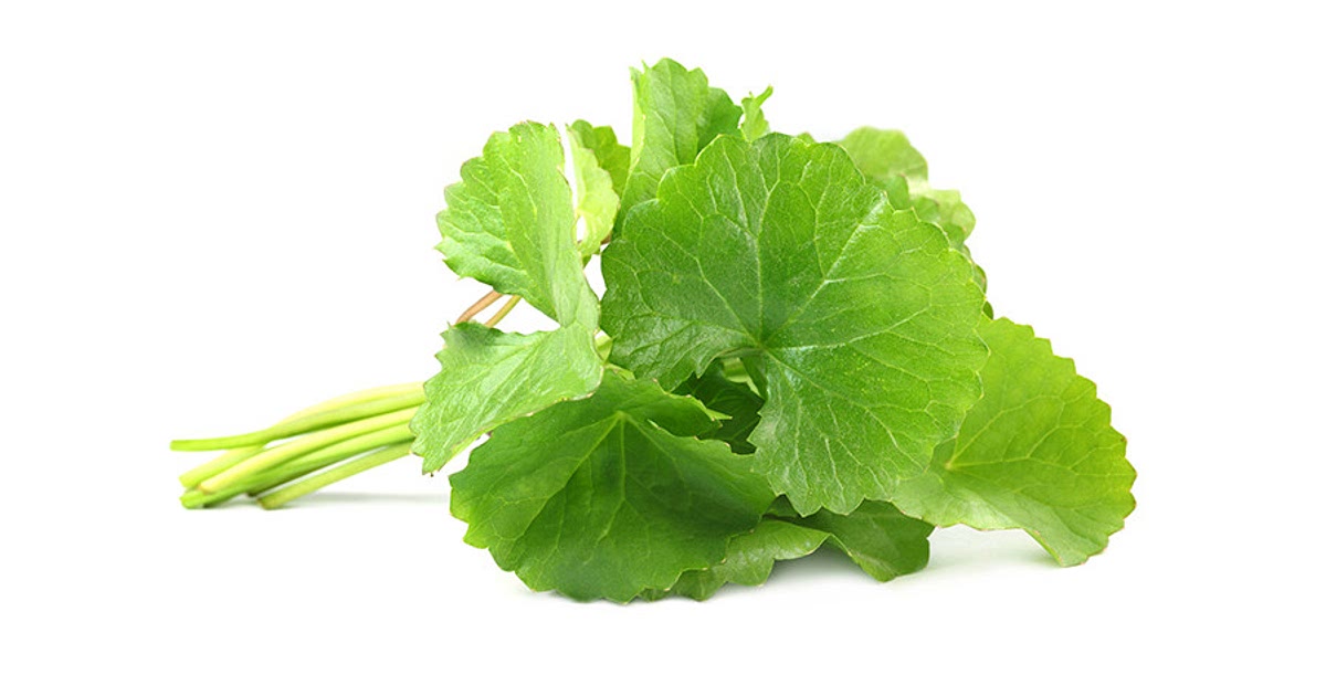 1 Easy Centella Recipes