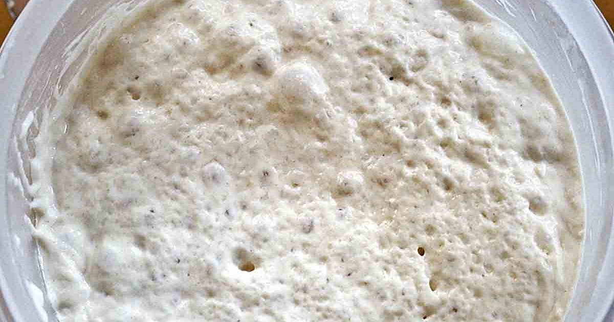 Italian Biga Recipe | Samsung Food App